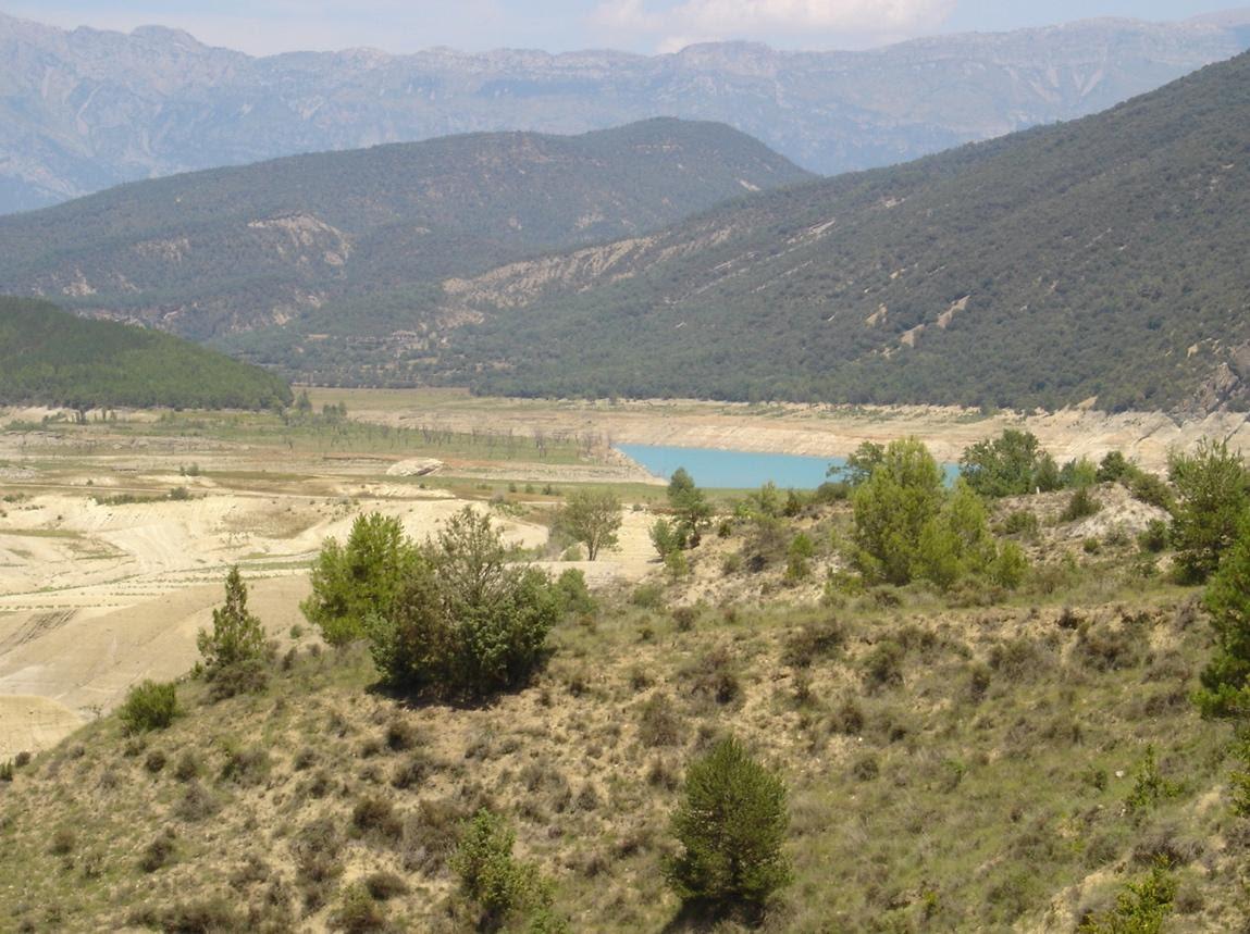 Sequeres: Casos – Exploradors del temps